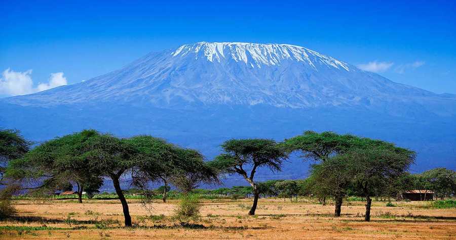 Wonder Vision: Packages - Wild Africa